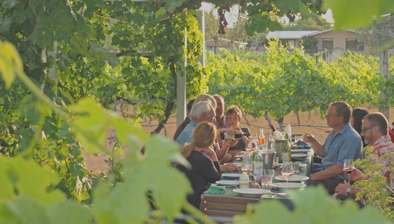 Events - Schubert Wines New Zealand